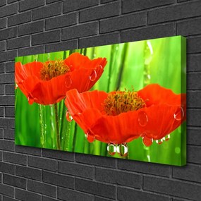 Obraz na plátně Máky Rostlina Příroda 140x70 cm