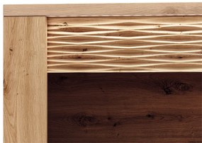ML FURNITURE Skříňka pod TV - ARTIS 11, dub artisan