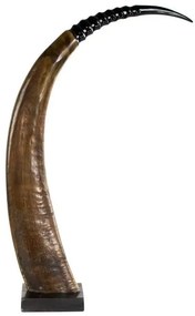 Dekorativní roh Buvol na dřevěném podstavci (bubalus bubalis) - 65cm