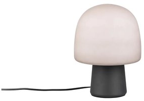 Černo-bílá stolní lampa se skleněným stínidlem (výška 27 cm) Steen – Trio
