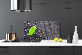 Kuchyňský skleněný panel List Kapky Umění 100x50 cm