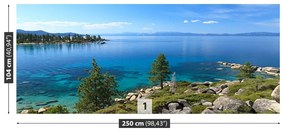 Fototapeta Jezero Tahoe 104x70