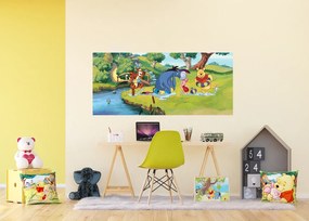 Dětská vliesová fototapeta na zed' Medvídek Pú Čas na plavání, Disney | 202 x 90 cm | DFTDNH 5315