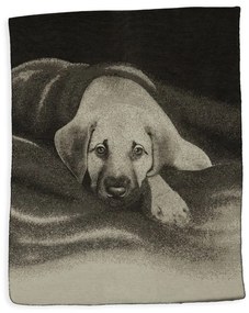 SCANquilt pléd VELUR STYLE dog černobéžová střední 150 x 200 cm