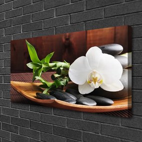 Obraz na plátně Kameny Zen Bílá Orchidej 120x60 cm