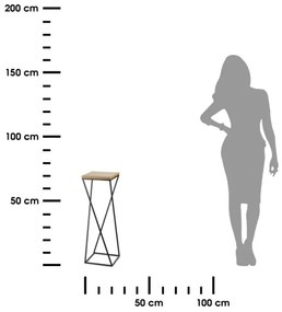 Stojan na květiny LOFT 70x24 cm černá/hnědá