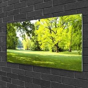 Obraz na skle Tráva Stromy Park Příroda 100x50 cm