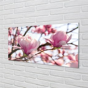 Obraz na skle magnolie strom 125x50 cm