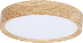 BRILAGI - LED Stropní svítidlo NATURA LED/12W/230V 4000K pr. 26,3 cm