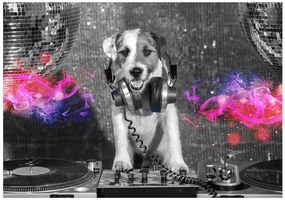 Fototapeta - DJ Dog