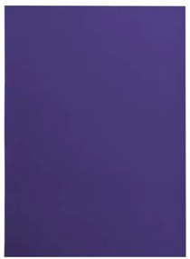 Protiskluzový běhoun RUMBA 1385 fialový
