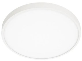 Italux | ITALUX PLF-75689-WH-4K - LED Stropní svítidlo RIBERIO LED/30W/230V 4000K bílá | IT0611