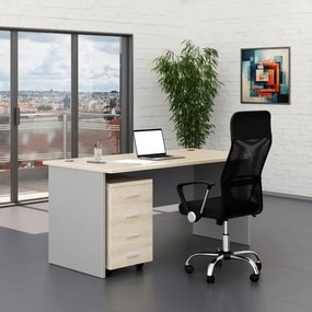 Sestava kancelářského nábytku SimpleOffice 1, 160 cm