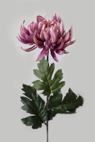 Růžově fialová chryzantéma stopková 80cm