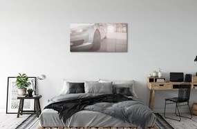 Obraz na skle Stříbrné auto street tree 100x50 cm