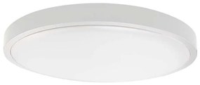 LED Koupelnové stropní svítidlo LED/24W/230V 3000K IP44 pr. 29,5 cm bílá