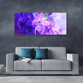 Plexisklo-obraz Fialové Květiny Příroda 125x50 cm