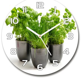 Wallmuralia Skleněné hodiny kulaté Bylinky v květináčích fi 30 cm