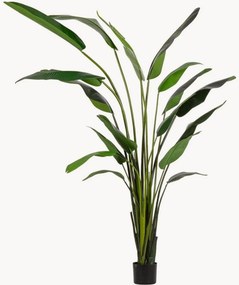Exteriérová umělá rostlina Strelitzia
