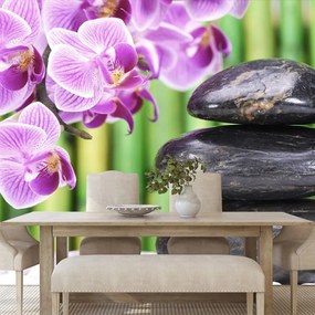 Fototapeta japonská Zen zahrada - 450x300 cm