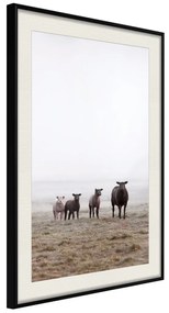 Plakát Přátelé ráno - krajina pole se zvířaty na pozadí mlhy