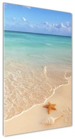 Wallmuralia Vertikální Fotoobraz na skle Hvězdice na pláži 50x100