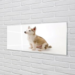 akrylový obraz Sedící malého psa 120x60 cm