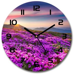 Wallmuralia Skleněné hodiny kulaté Květiny v horách fi 30 cm