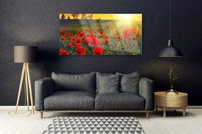 Plexisklo-obraz Louka Máky Rostlina Příroda 120x60 cm