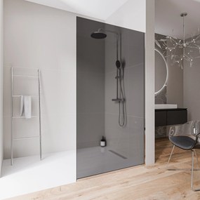 Sprchová zástěna Walk-In EX102-2 - 10mm šedé sklo