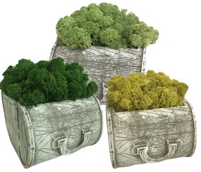 WOODILO Sobí mech v keramické truhle | 13 cm Barva lišejníku: světle zelená