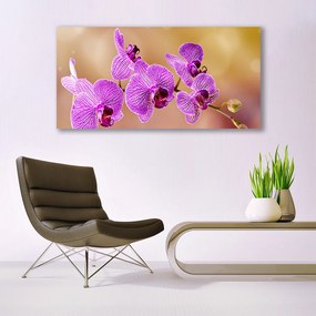 Plexisklo-obraz Orchidej Výhonky Květiny Příroda 120x60 cm