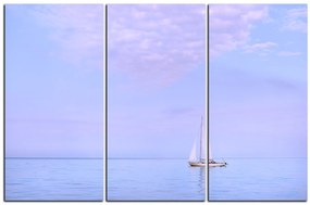 Obraz na plátně - Plachetnice na moři 1248B (90x60 cm  )