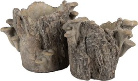 Hnědý cementový květináč kmen stromu s houbami Botanic M - 24*18*18 cm