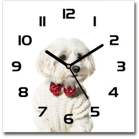 Wallmuralia Skleněné hodiny čtverec Maltázský psík 30x30 cm