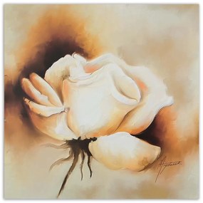 Obraz na plátně Růže Květina Bílá příroda - 50x50 cm