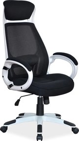 Casarredo - Komfort nábytek Kancelářské křeslo Q-409 černá/bílá
