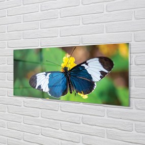 akrylový obraz Barevný motýl na květiny 120x60 cm