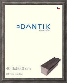 DANTIK rámeček 40x50 | TRITON cín (Plexi Čiré)