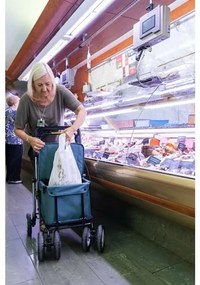 Carlett Senior Assist nákupní taška na kolečkách 38 l, modrozelená