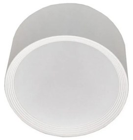 LED Stropní svítidlo PERCI LED/30W/230V IP40 4000K bílá