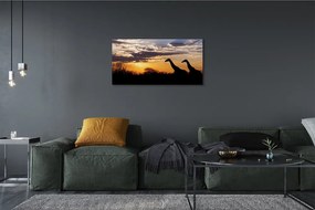 Obrazy na plátně Žirafy strom mraky 140x70 cm