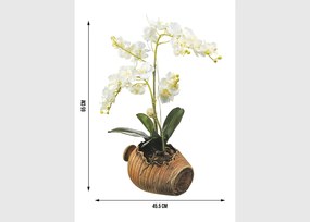 Samolepka na zeď Orchidej v Květináče | 42.5 x 65 cm | DSM3430
