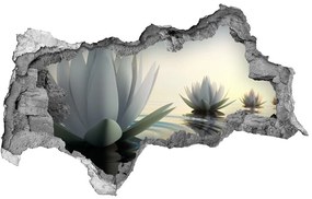 Wallmuralia Samolepící díra nálepka Květ lotosu 95x73 cm