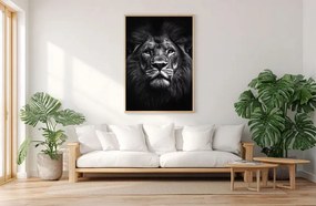 Král savany - obraz - Majestátní lev v černobílém stylu 22 - 40 x 50 cm - 499 Kč