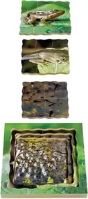 Just Jigsaws 604 Žába a její životní cyklus - dřevěné vrstvené puzzle
