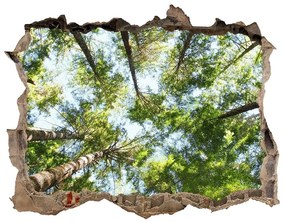 Wallmuralia Díra 3D ve zdi na stěnu Koruna stromů 95x64 cm