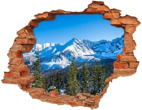 Wallmuralia Díra 3D ve zdi nálepka Panorama Tatry 90x70 cm