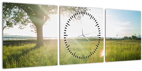Obraz letní louky (s hodinami) (90x30 cm)