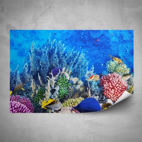 Plakát - Podmořský svět (60x40 cm) - PopyDesign